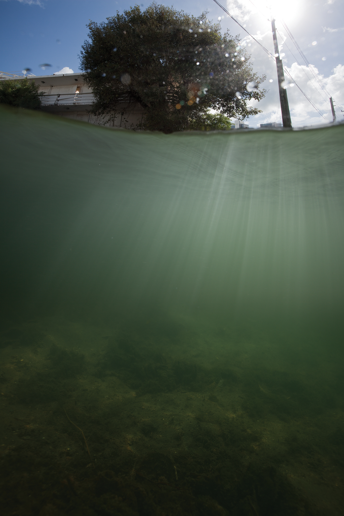 Biophilia Reimagined - CONTACT Photography Festival